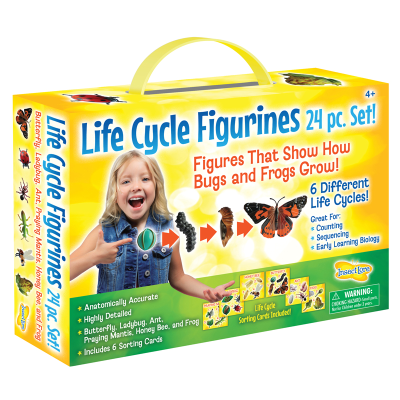 Insect Lore Life Cycle Figurines Set, 24 Pieces - Zuma