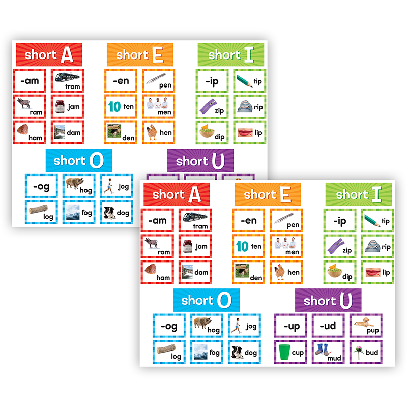 Teacher Created Resources® Short Vowels Pocket Chart Cards, 205 Pieces ...